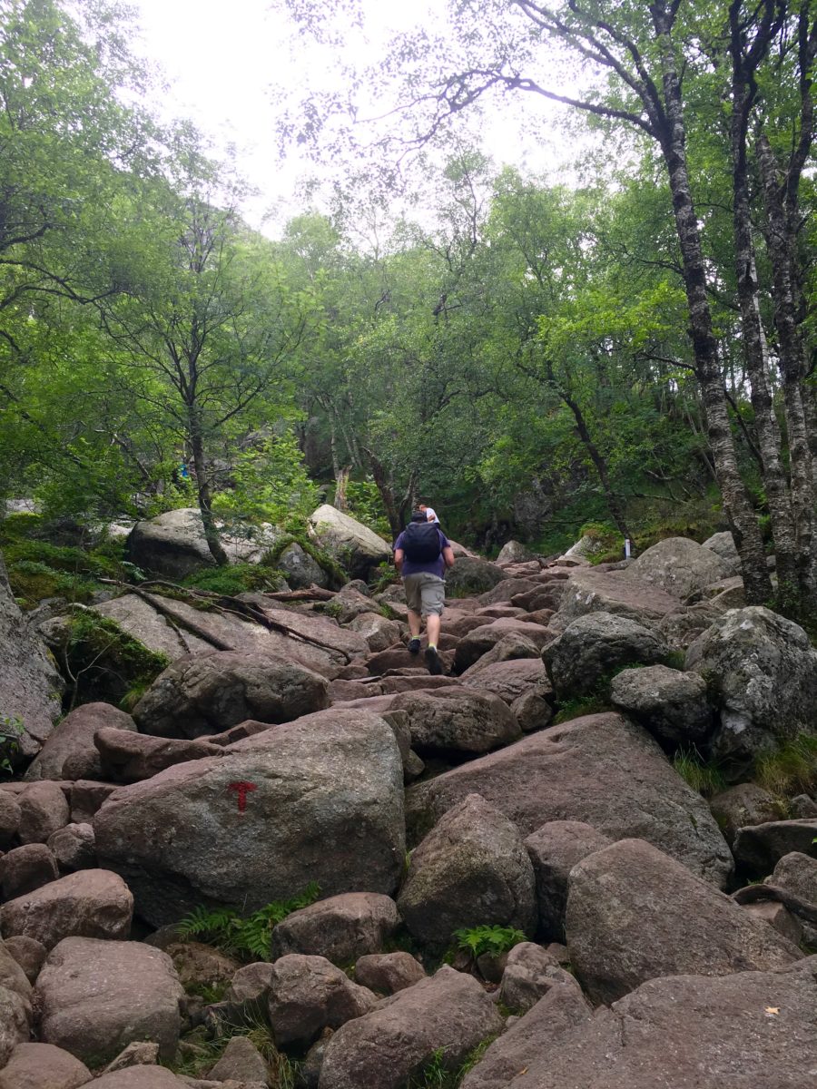 Hiking to Pulpit Rock - A Leg-Stretching Introduction To Norway's Fjord ...