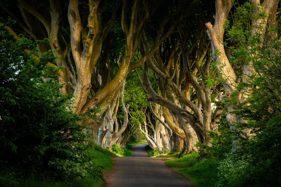 Causeway Coastal Route: A Northern Ireland Road Trip Itinerary